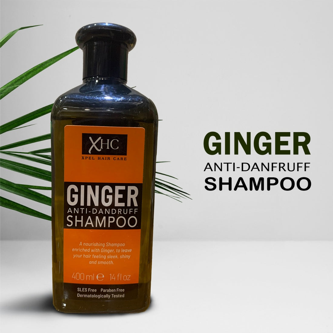 Buyt XHC Ginger Anti Dandruff Shampoo - 400ml Online at Best Price in ...